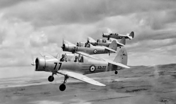 Commonwealth CA-6 Wackett — avionslegendaires.net