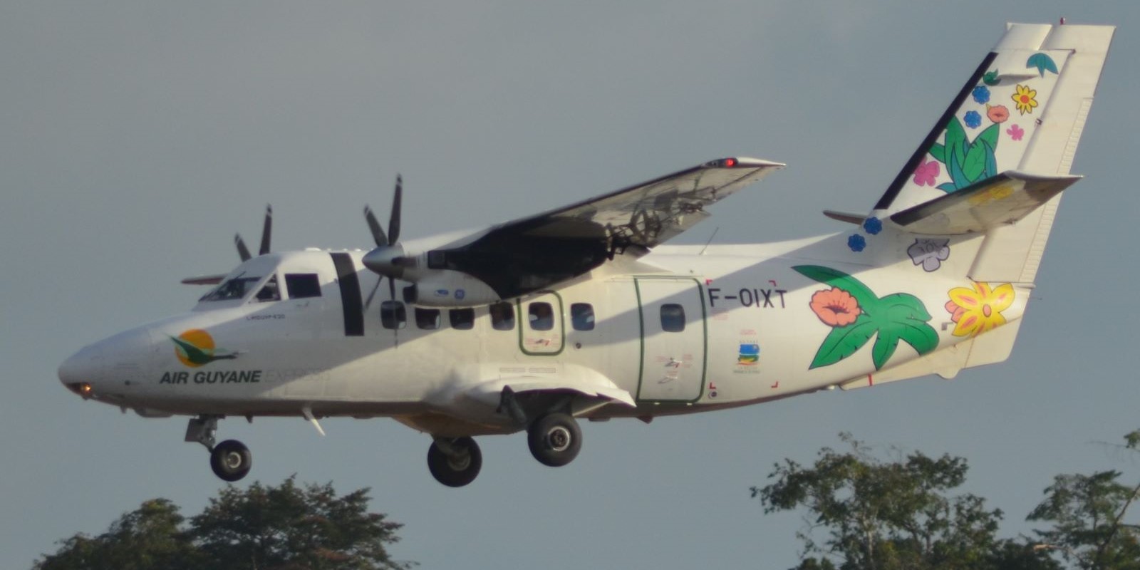 Fin de l'aventure Air Guyane ! — avionslegendaires.net